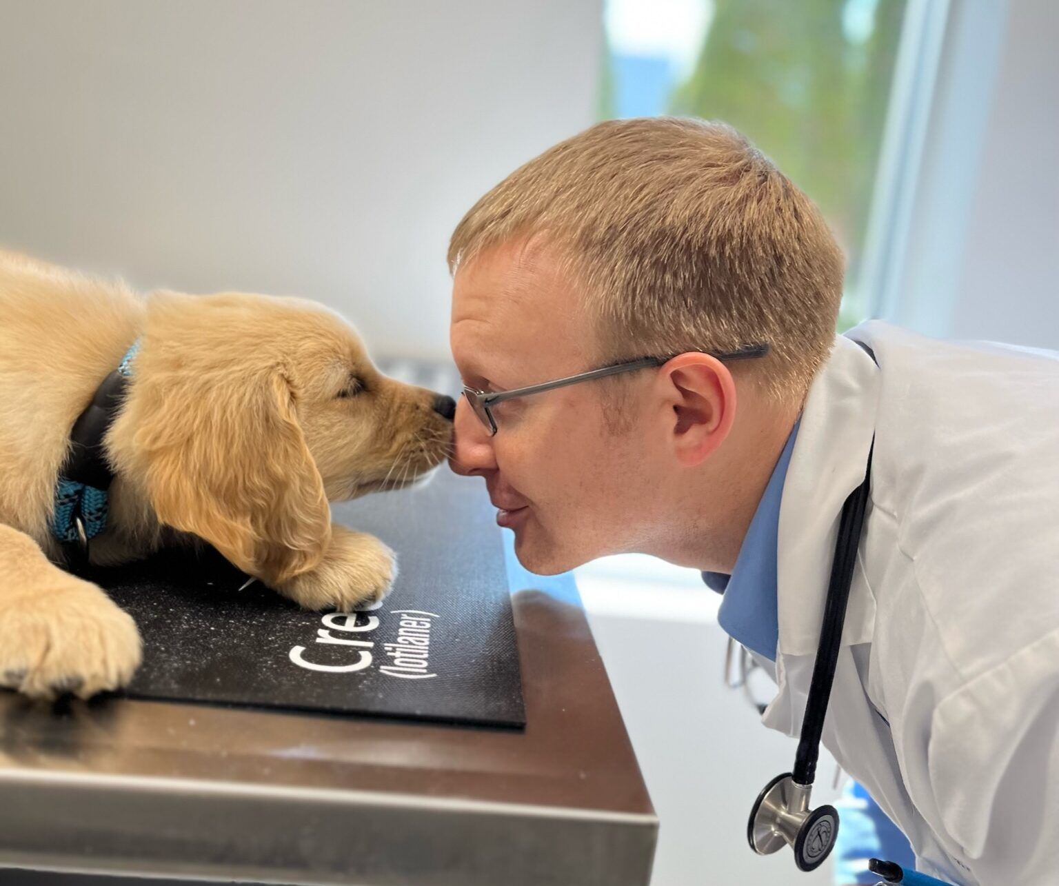 Fear Free Services | Roanoke Animal Hospital