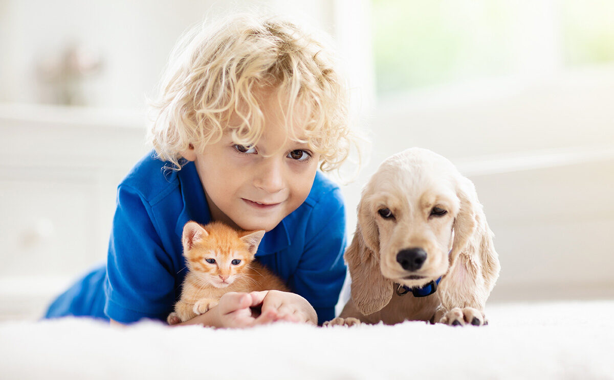 Mastering Puppy/Kitten Parenthood: How to Ensure Success from Day One ...